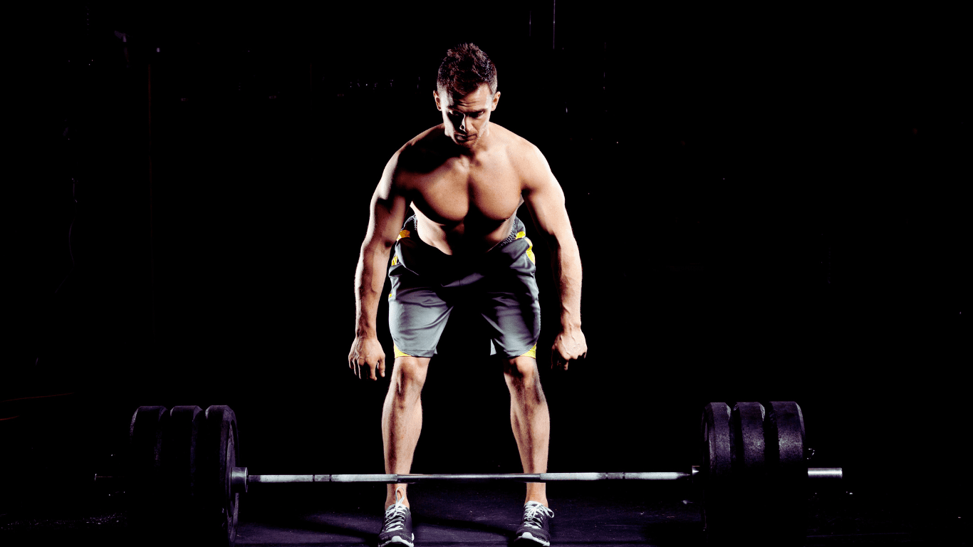 Most Effective Muscle Building Workouts
