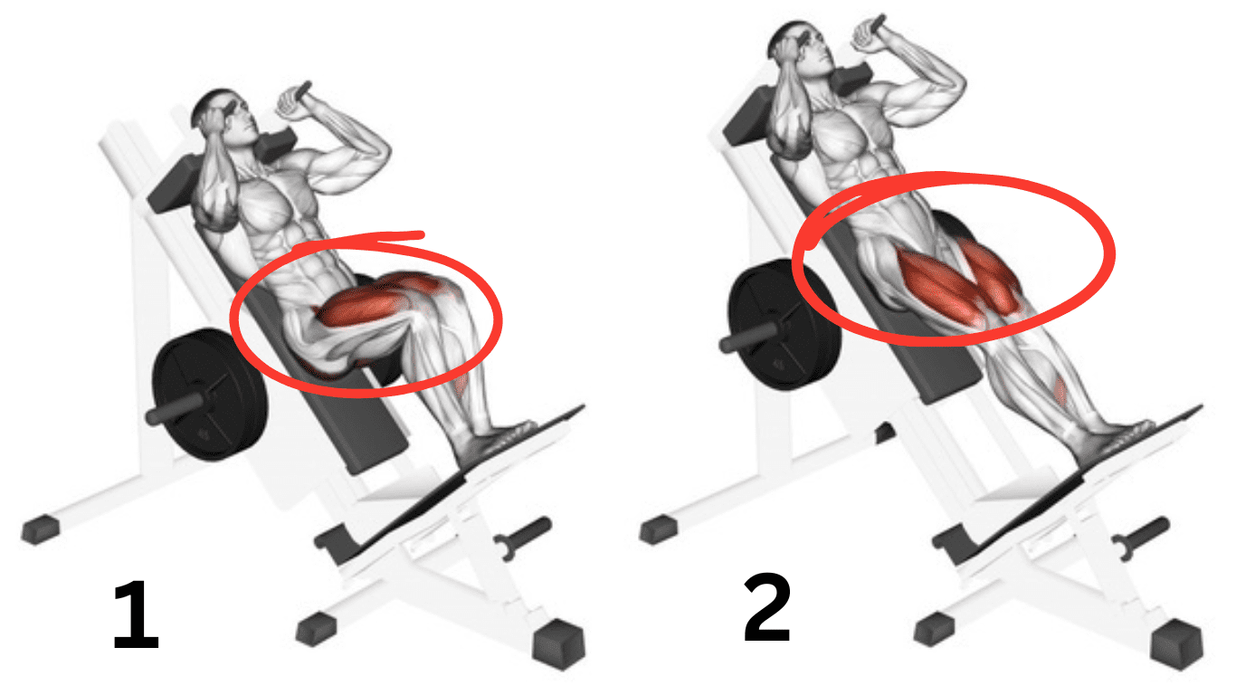 Hack Squat Technique for Best Results
