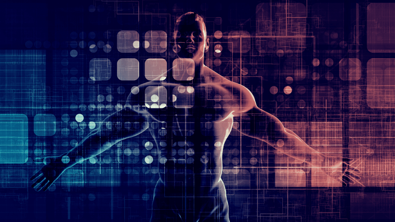 What is Holistic Fitness?