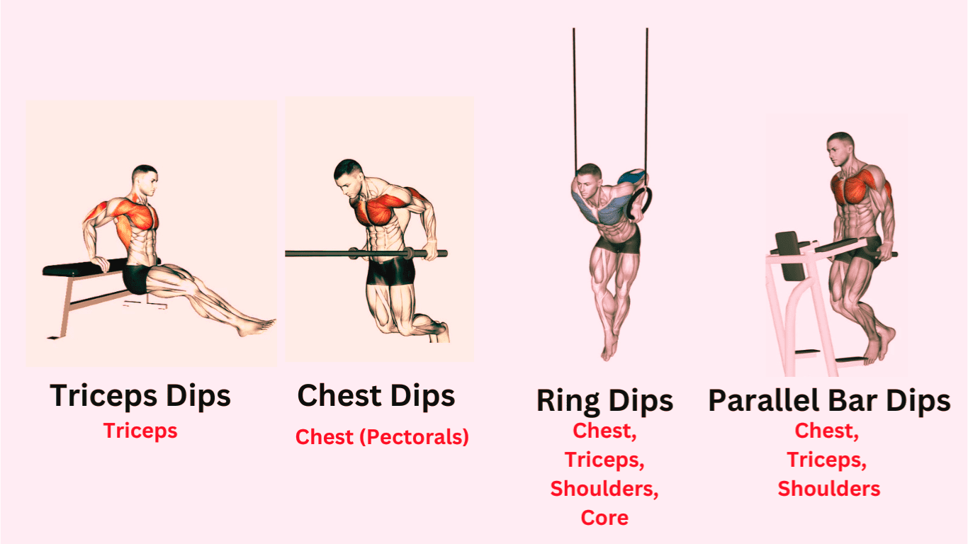 Upper Body Calisthenics Exercises
